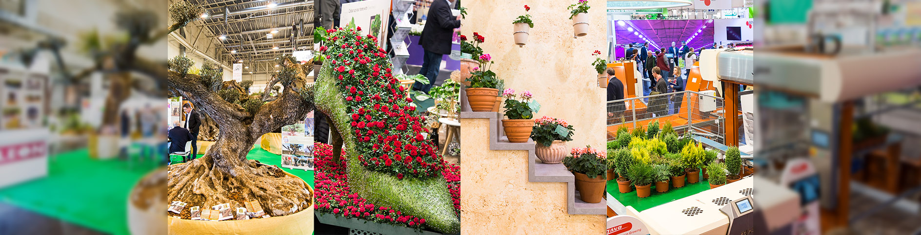 The World's leading trade for Horticulture - Arber HorticultureArber ...